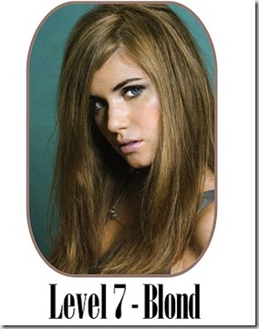 Level System : Helps You Choose Hair Color Formula | Killerstrands Hair ...